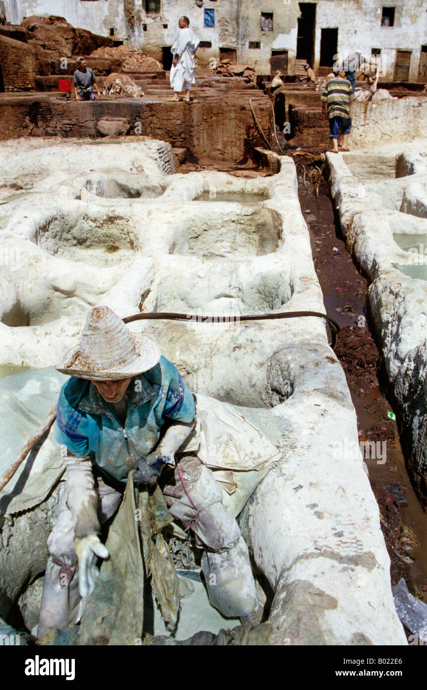 A worker in the traditional tanneries of Fes el Bali, Morocco, engaged ...