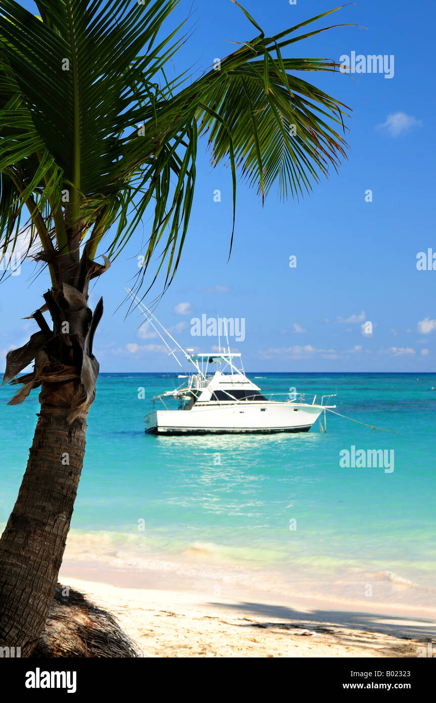 Tropical palm boat hi-res stock photography and images - Alamy