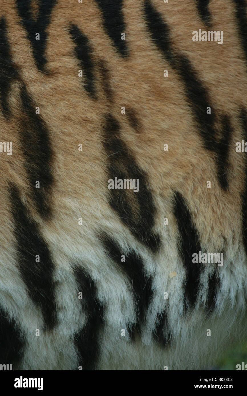 Alert strips hi-res stock photography and images - Alamy