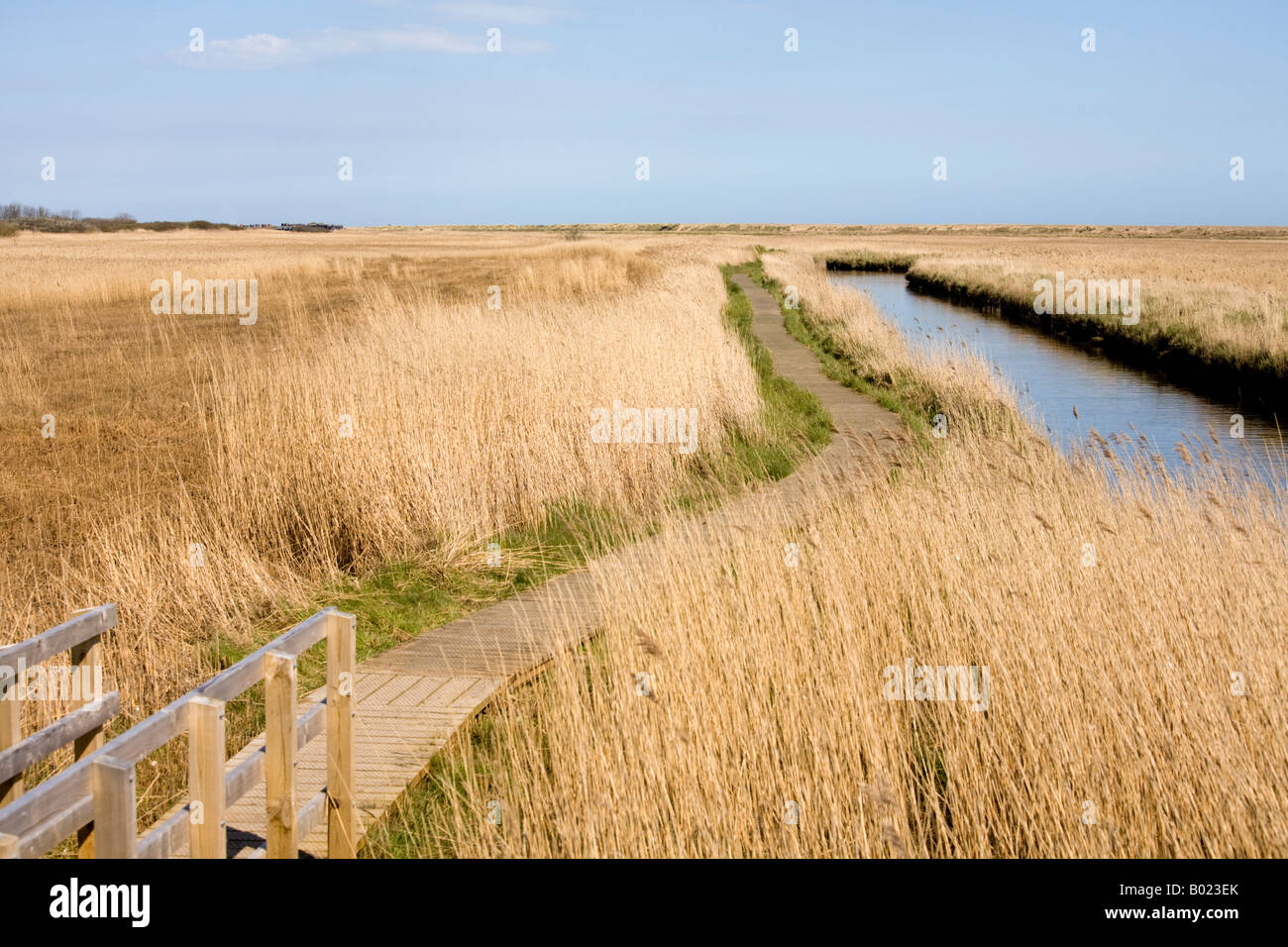 Walberswick Nature reserve Stock Photo - Alamy