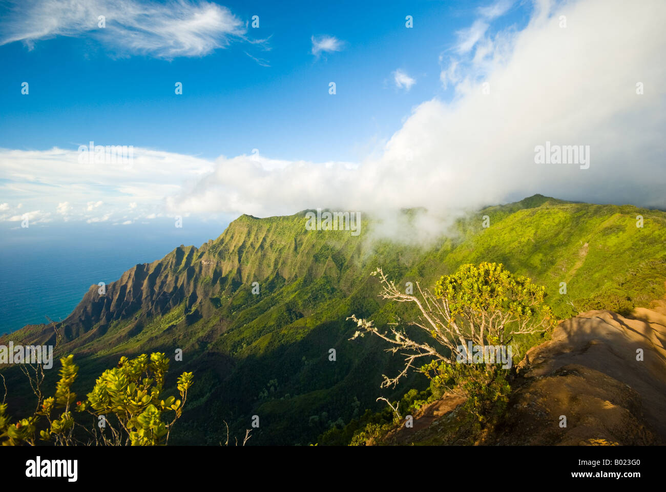 Evening view from Kalalau lookout on the island of Kauai Hawaii Stock ...