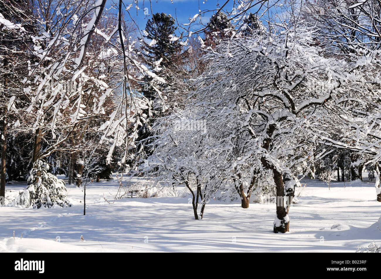 Heavy frost park hi-res stock photography and images - Alamy