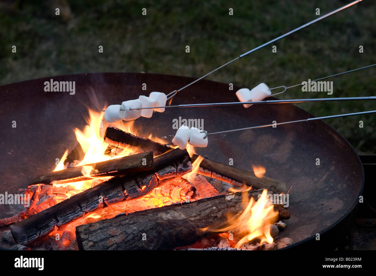 Roasting marshmallows on skewers over the flame of a wood burning ...