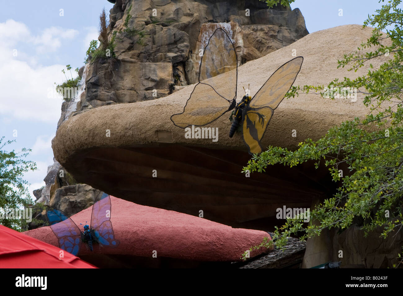 Florida butterfly cafe hi-res stock photography and images - Alamy