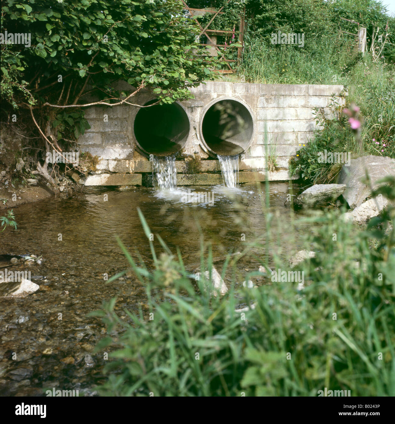 Water flowing into a river from drainage pipes leading from a field ...
