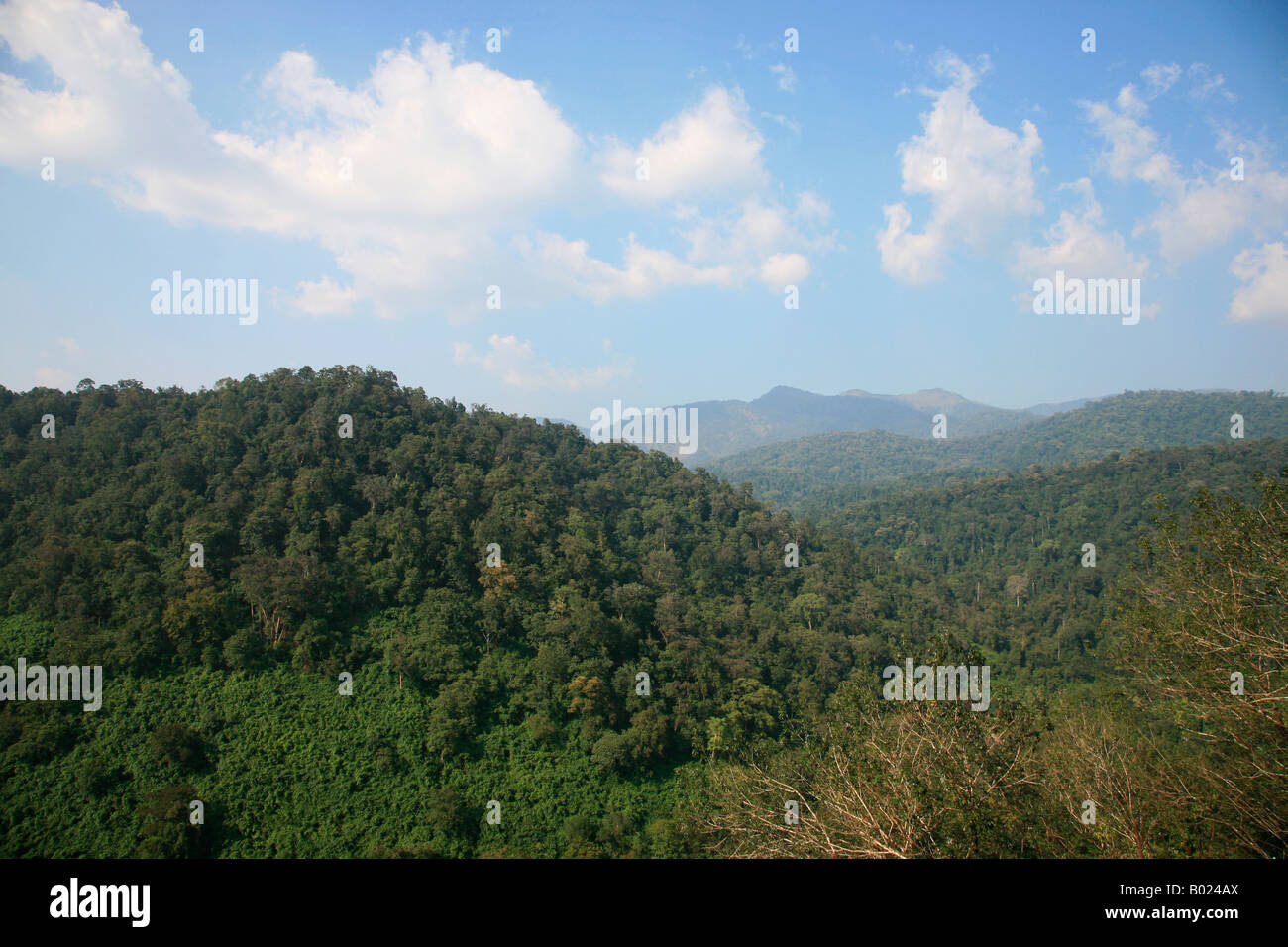 Nilgiri hills hi-res stock photography and images - Alamy