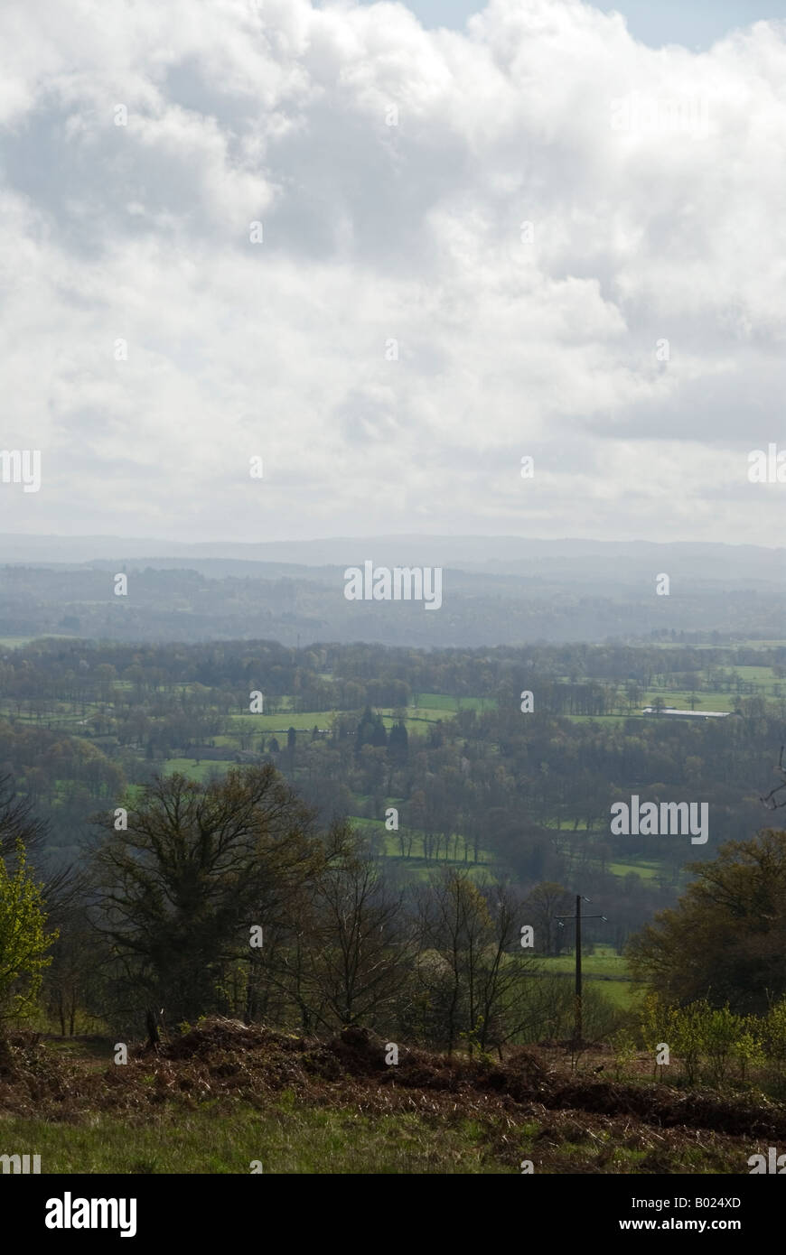 Limousin countryside hi-res stock photography and images - Alamy