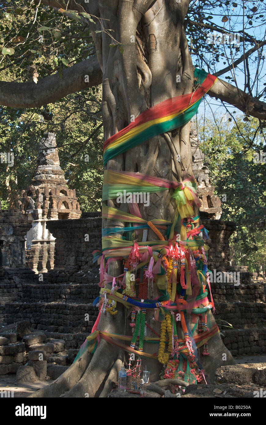 Offerings around tree base Wat Chedi Ched Thao Si Satchanalai ...