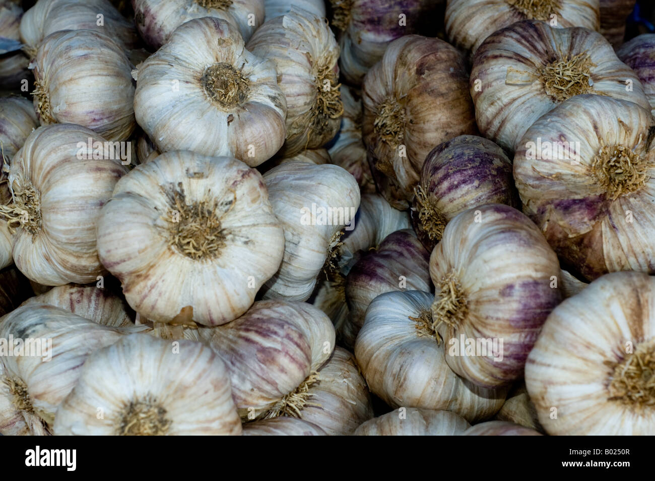 Garlic, herb , flavour, food Stock Photo - Alamy