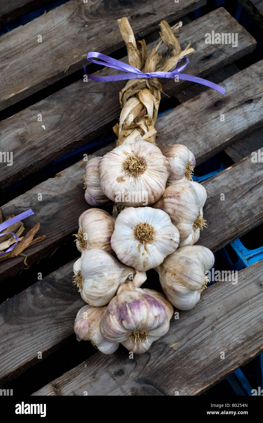 Garlic, herb , flavour, food Stock Photo - Alamy