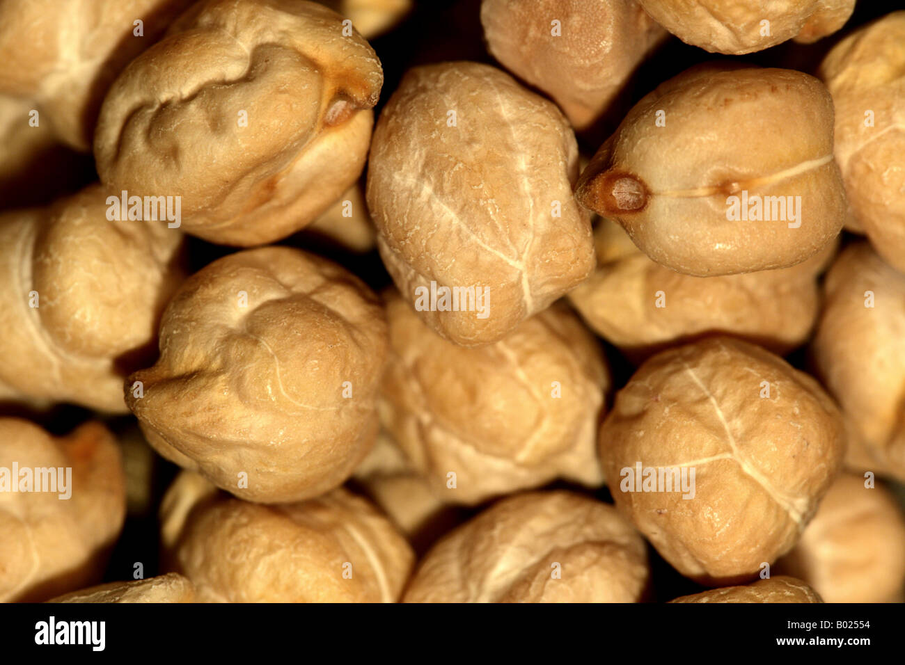 Kadale kaalu hi-res stock photography and images - Alamy