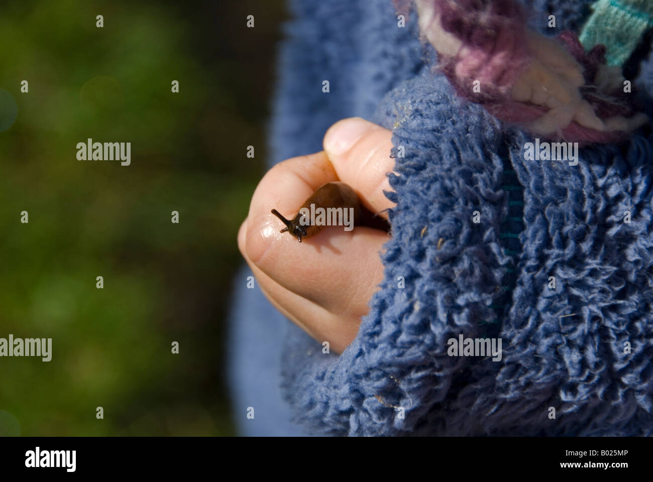 Stock photo of a toddlers hand holding a slimy slug Stock Photo - Alamy