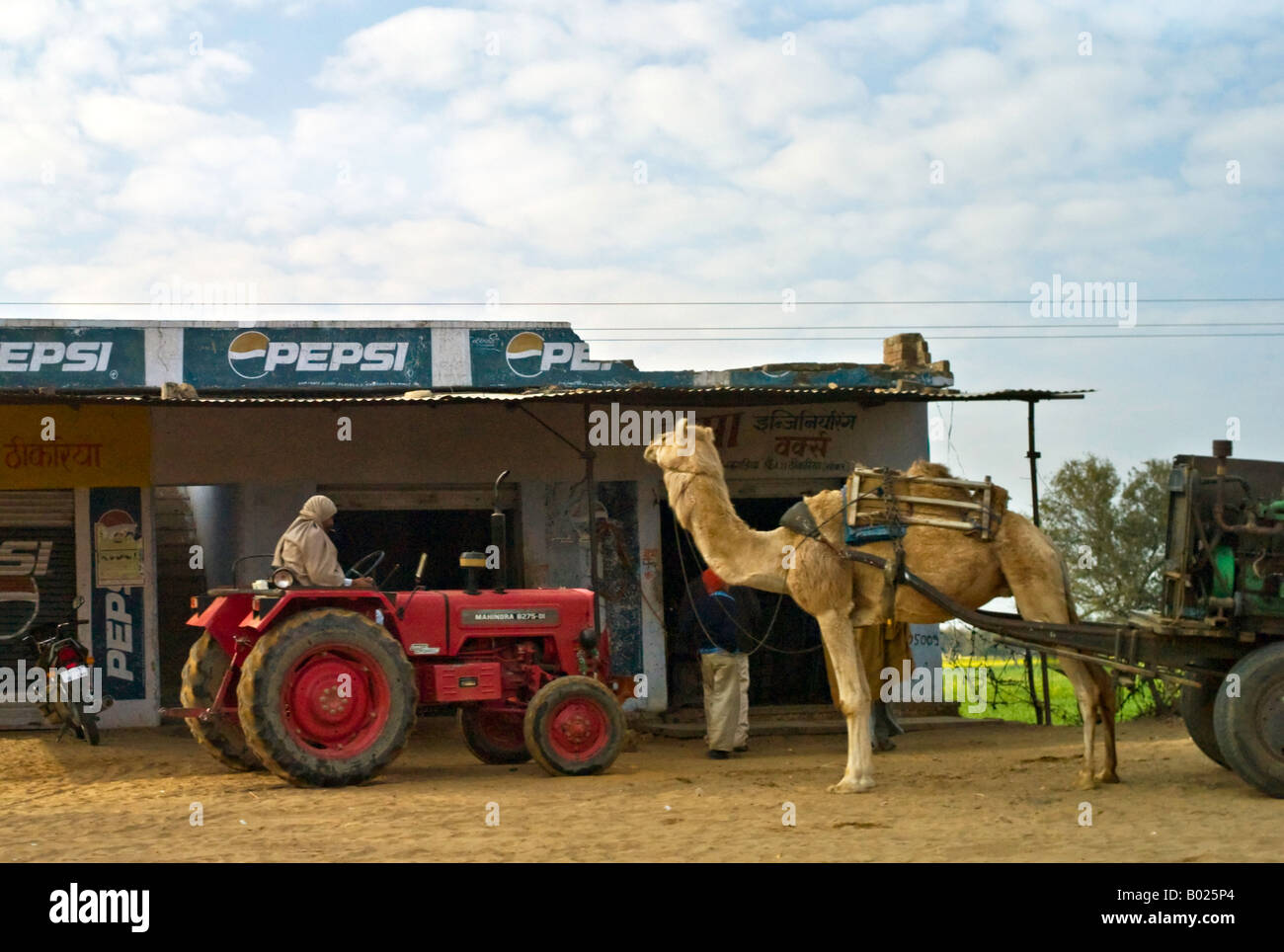 INDIA BIKANER Contrast of camel pulling farm equipment and a tractor ...