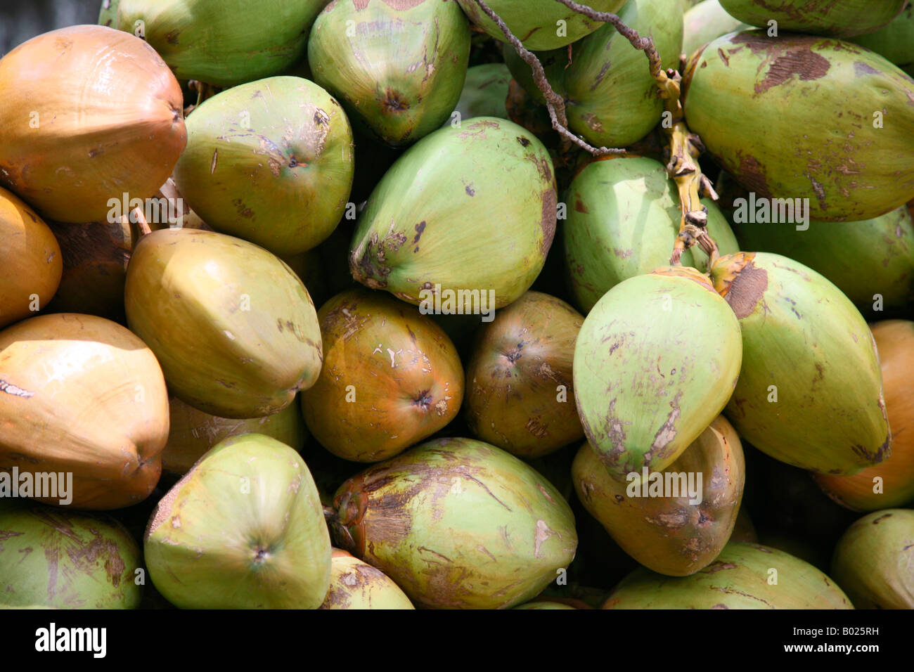 Electrolyte balance hi-res stock photography and images - Alamy