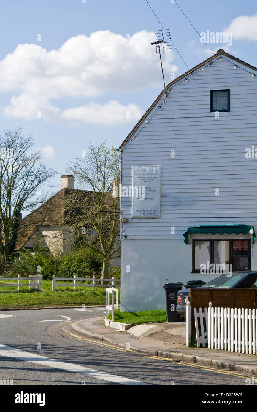 The Herb Link shop, Abridge, Essex, UK Stock Photo - Alamy