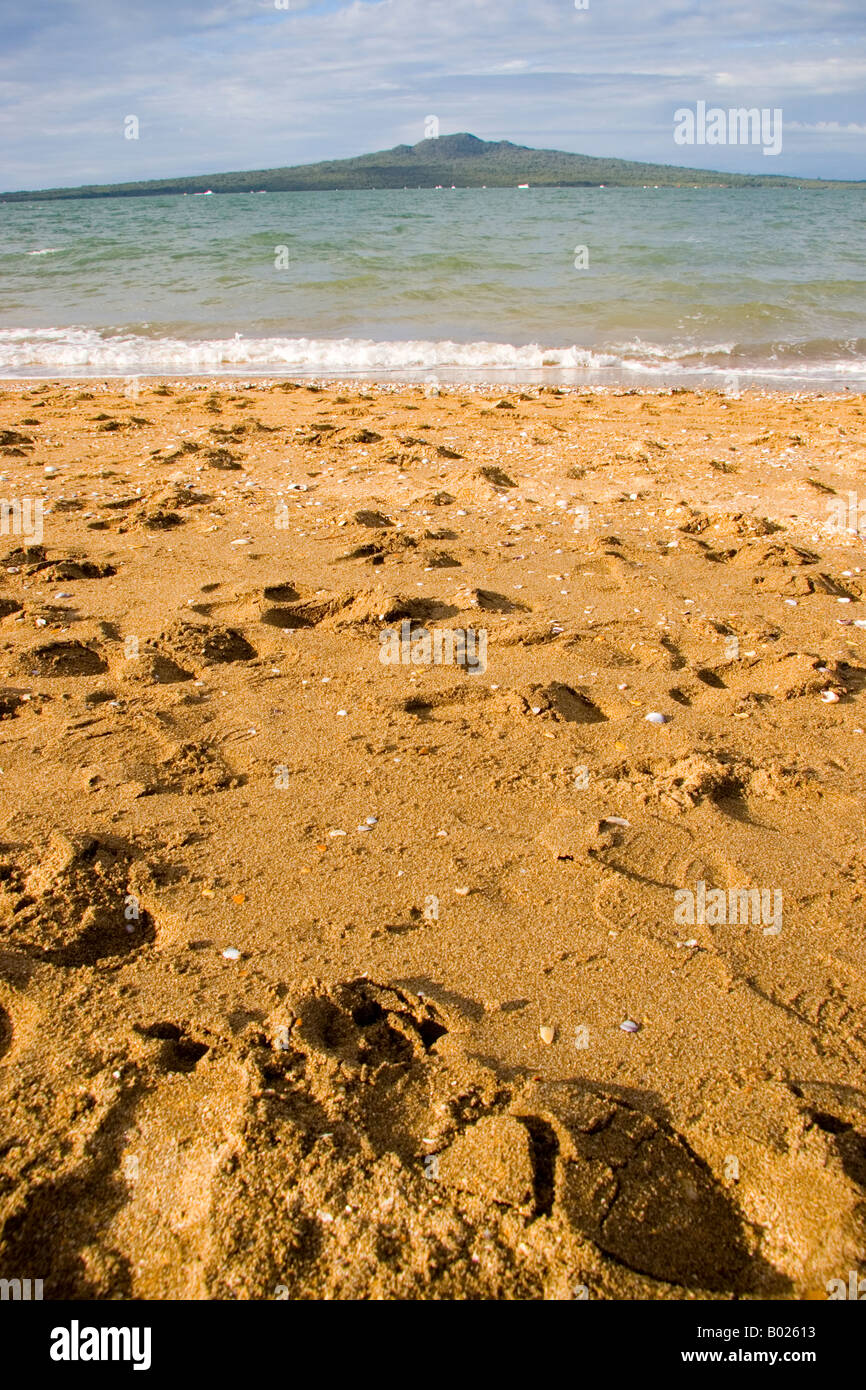 Rangitoto Island view from beach Auckland New Zealand Stock Photo - Alamy