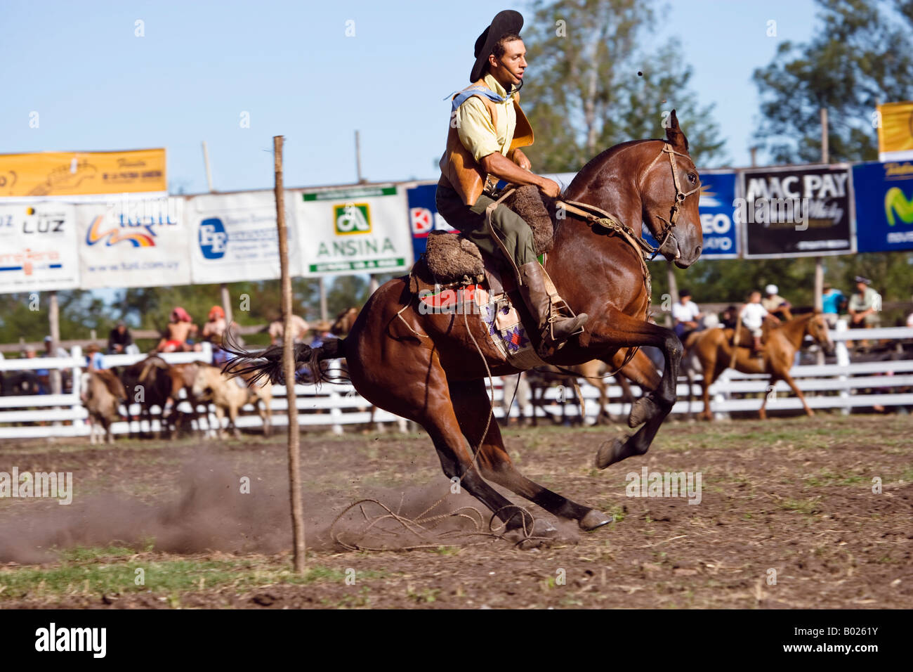 rodeo horse fiesta gaucho cow-boy cowboy lasso Stock Photo - Alamy