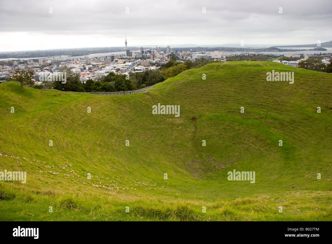 Auckland city view from Mt Eden volcanic crater New Zealand Stock Photo ...