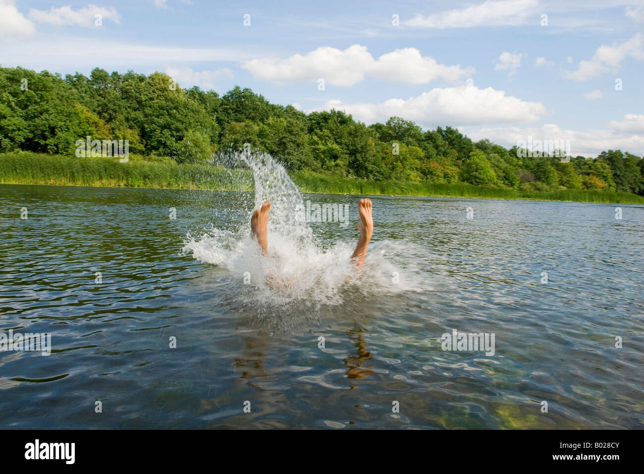man diving into lake in summer Stock Photo - Alamy