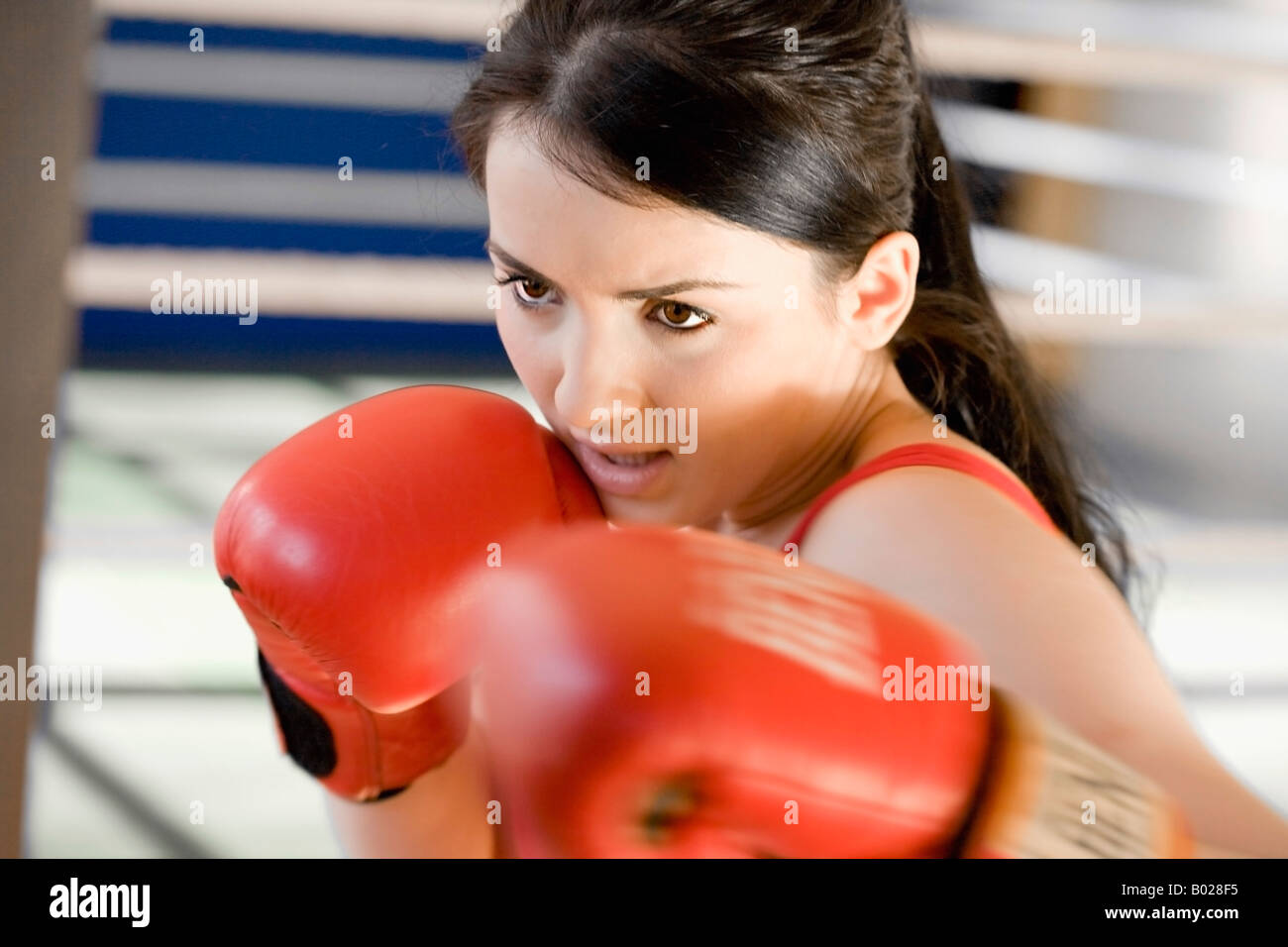 portrait of young woman boxing Stock Photo - Alamy