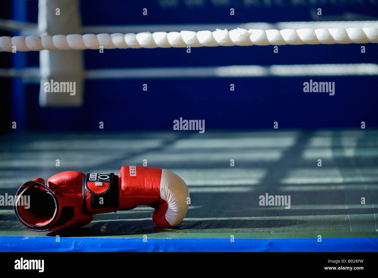 still life of boxing gloves lying ringside at gym Stock Photo - Alamy