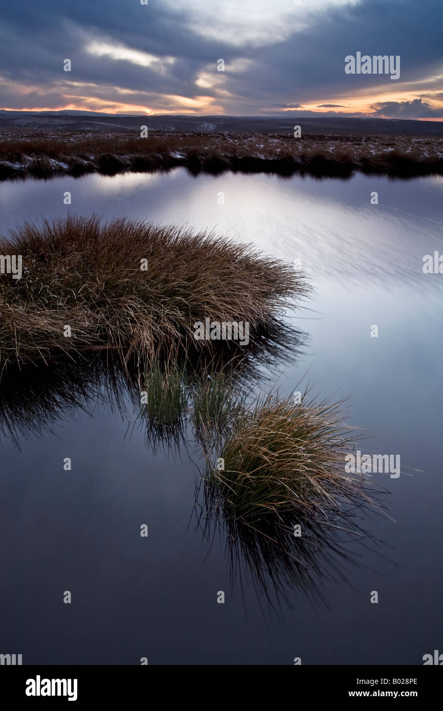 Clumps of grass hi-res stock photography and images - Alamy