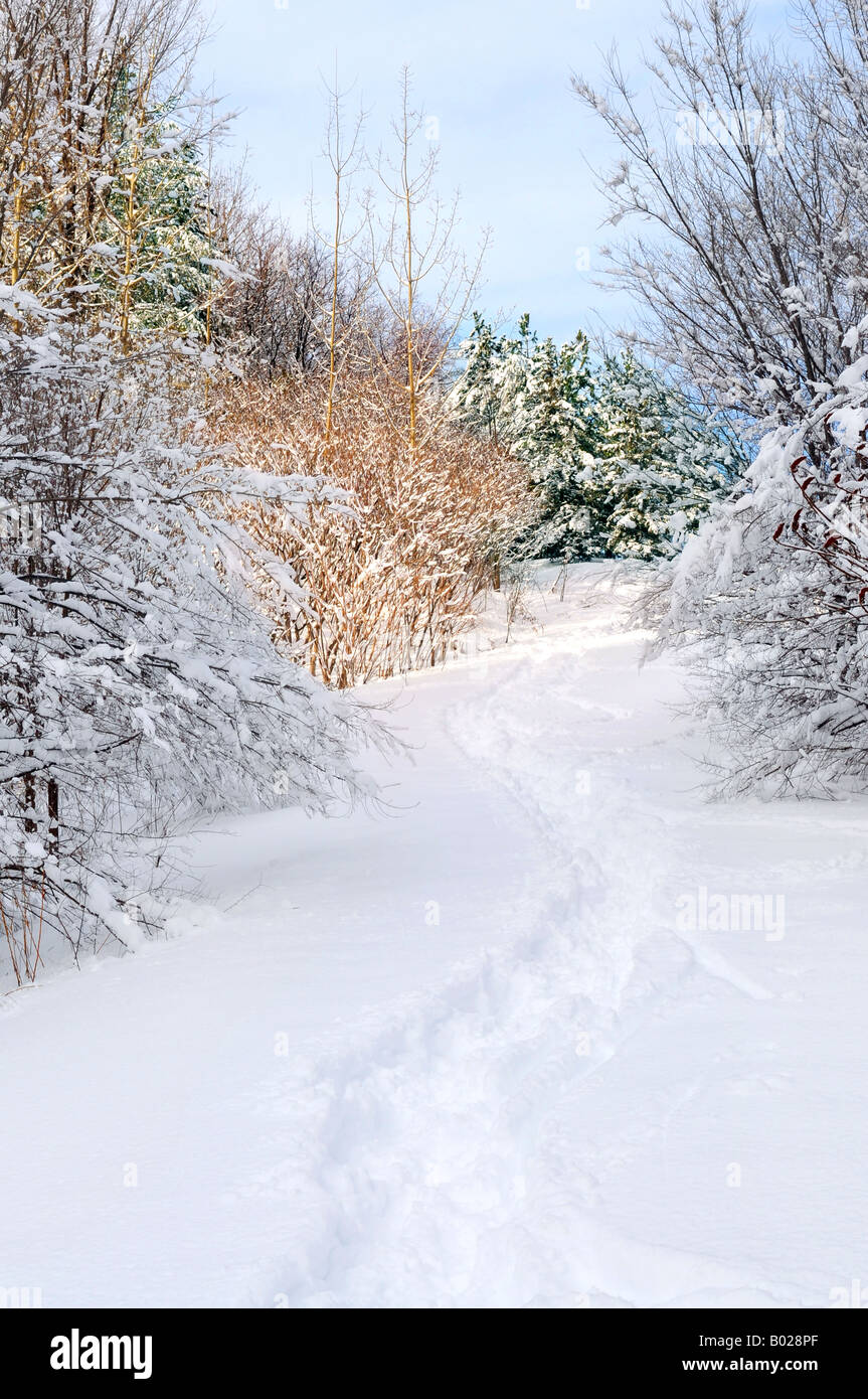 Canopy covered path hi-res stock photography and images - Alamy