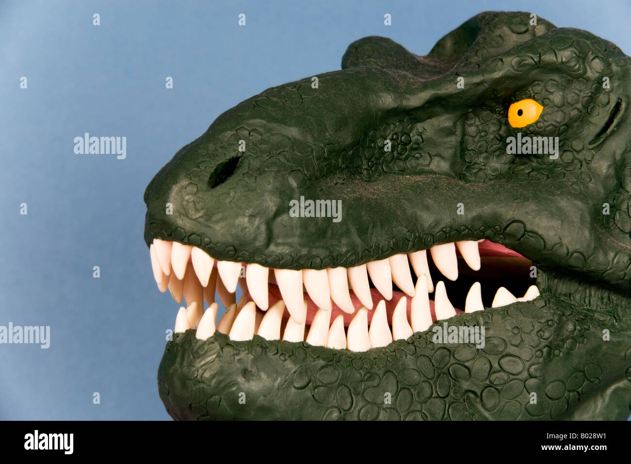 Model Tyrannosaurus Rex head Stock Photo - Alamy