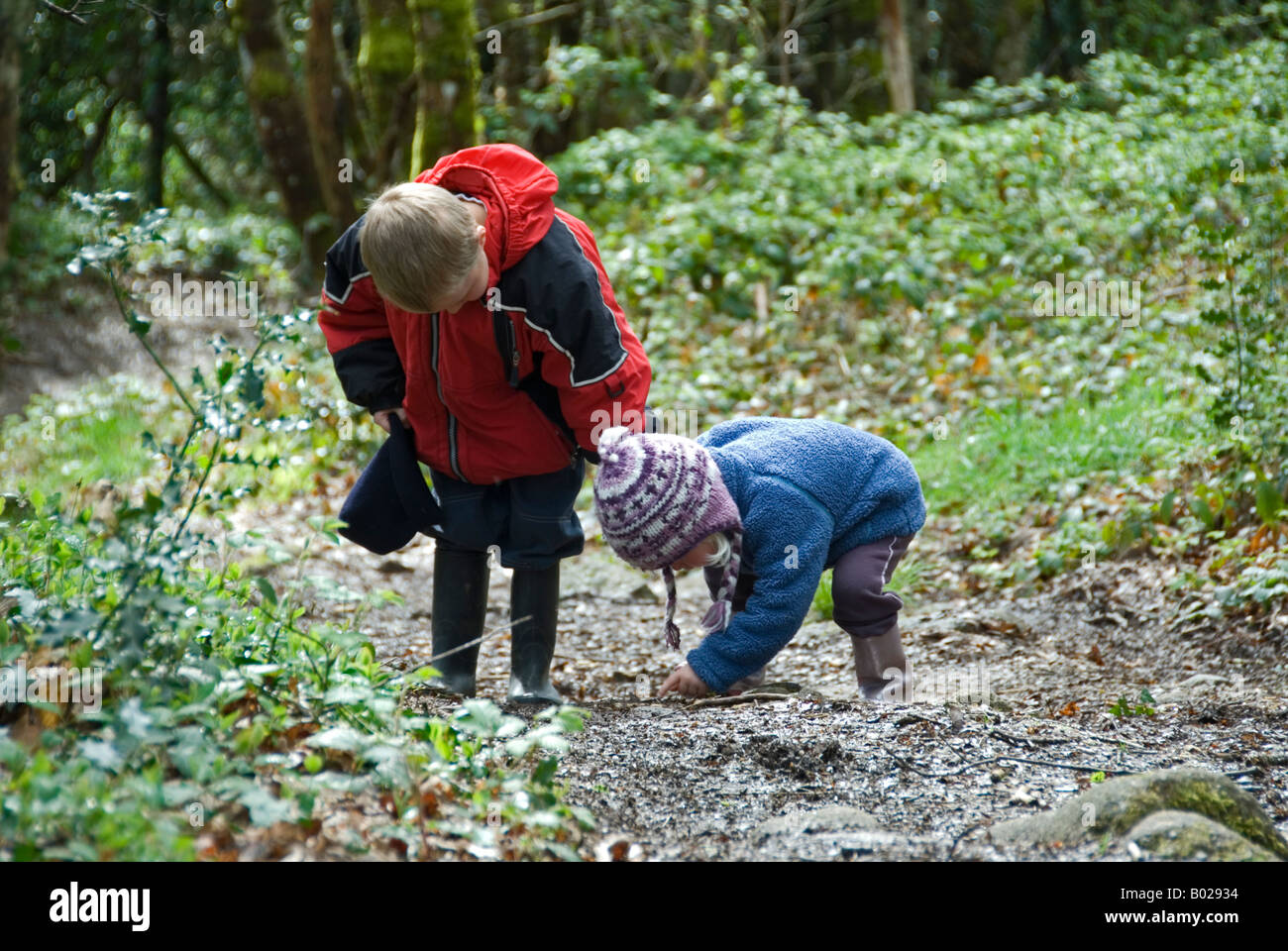 Brother sister look beetle hi-res stock photography and images - Alamy
