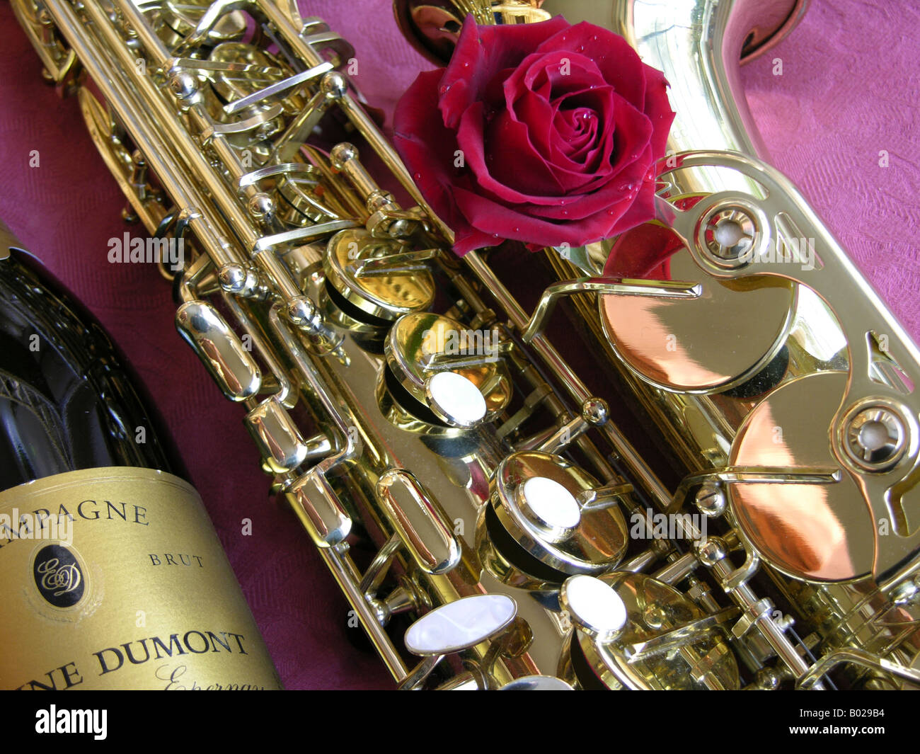 Close up of saxophone red rose and champagne bottle lying on a red ...