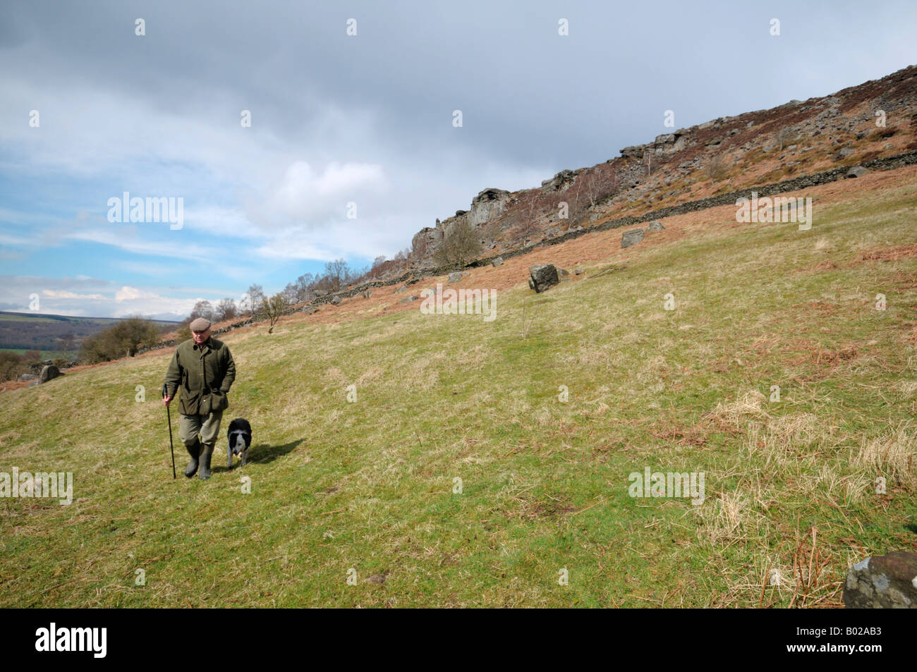 Man Walking With Sheepdog High Resolution Stock Photography and Images ...