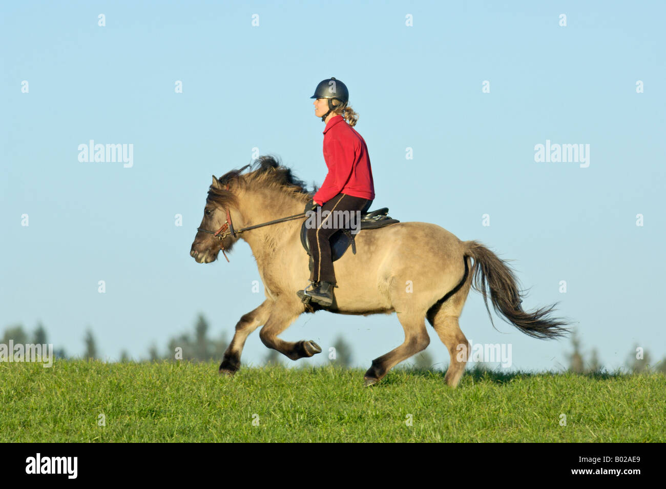 Pony Riding Fun Woman Gallop High Resolution Stock Photography and ...
