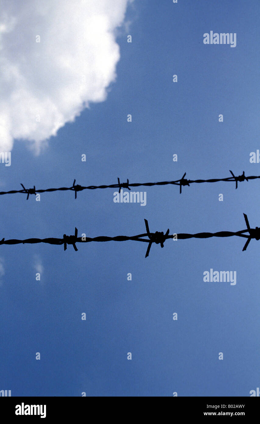 Barbed wire border hi-res stock photography and images - Alamy