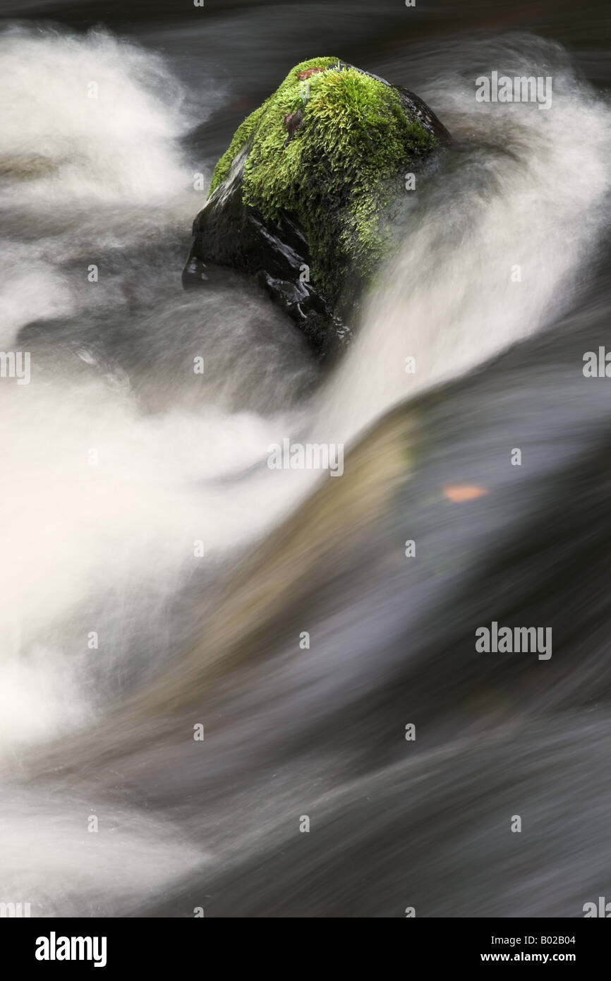 Moss covered flowing hi-res stock photography and images - Alamy