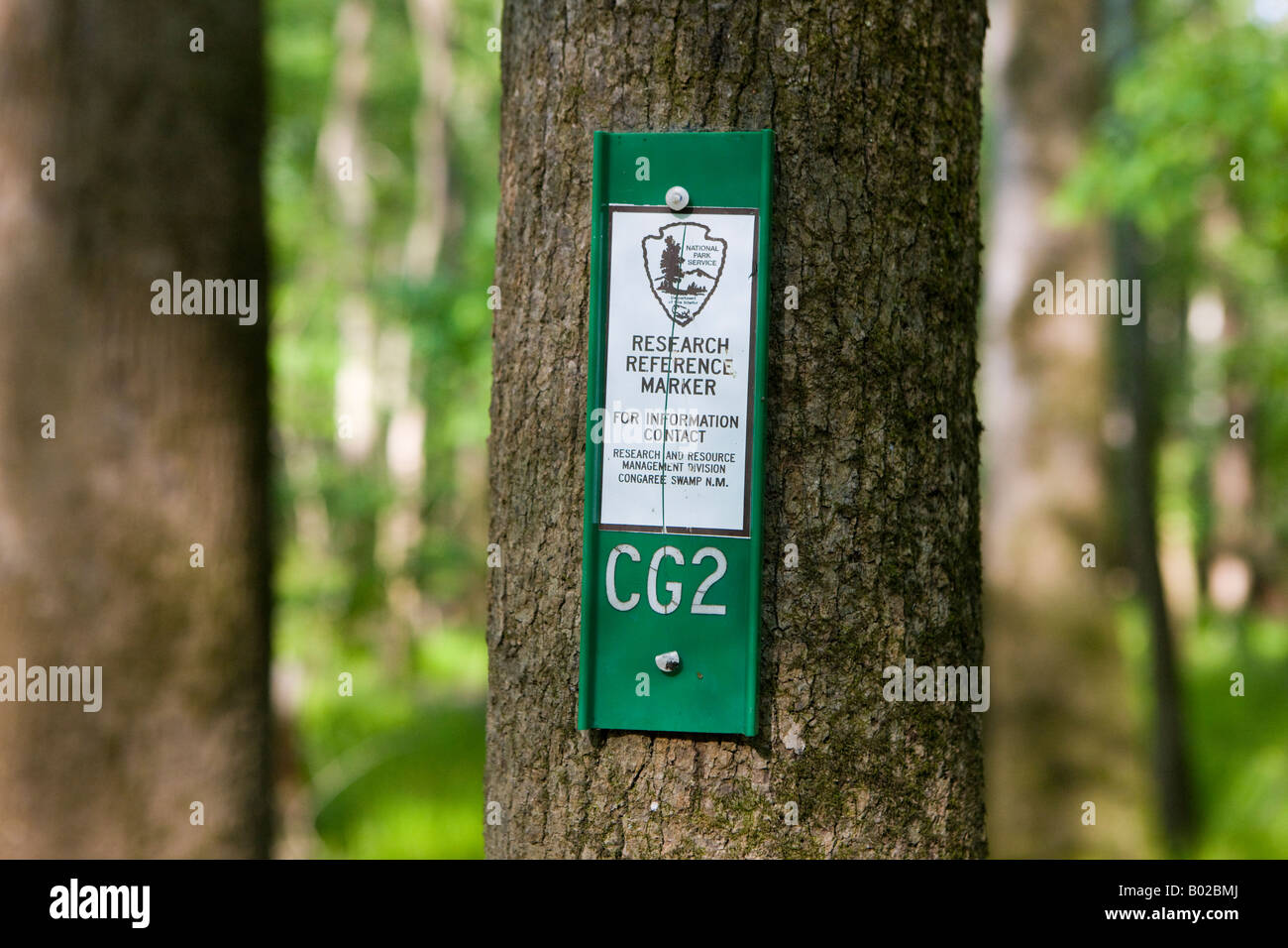Tree reference hi-res stock photography and images - Alamy