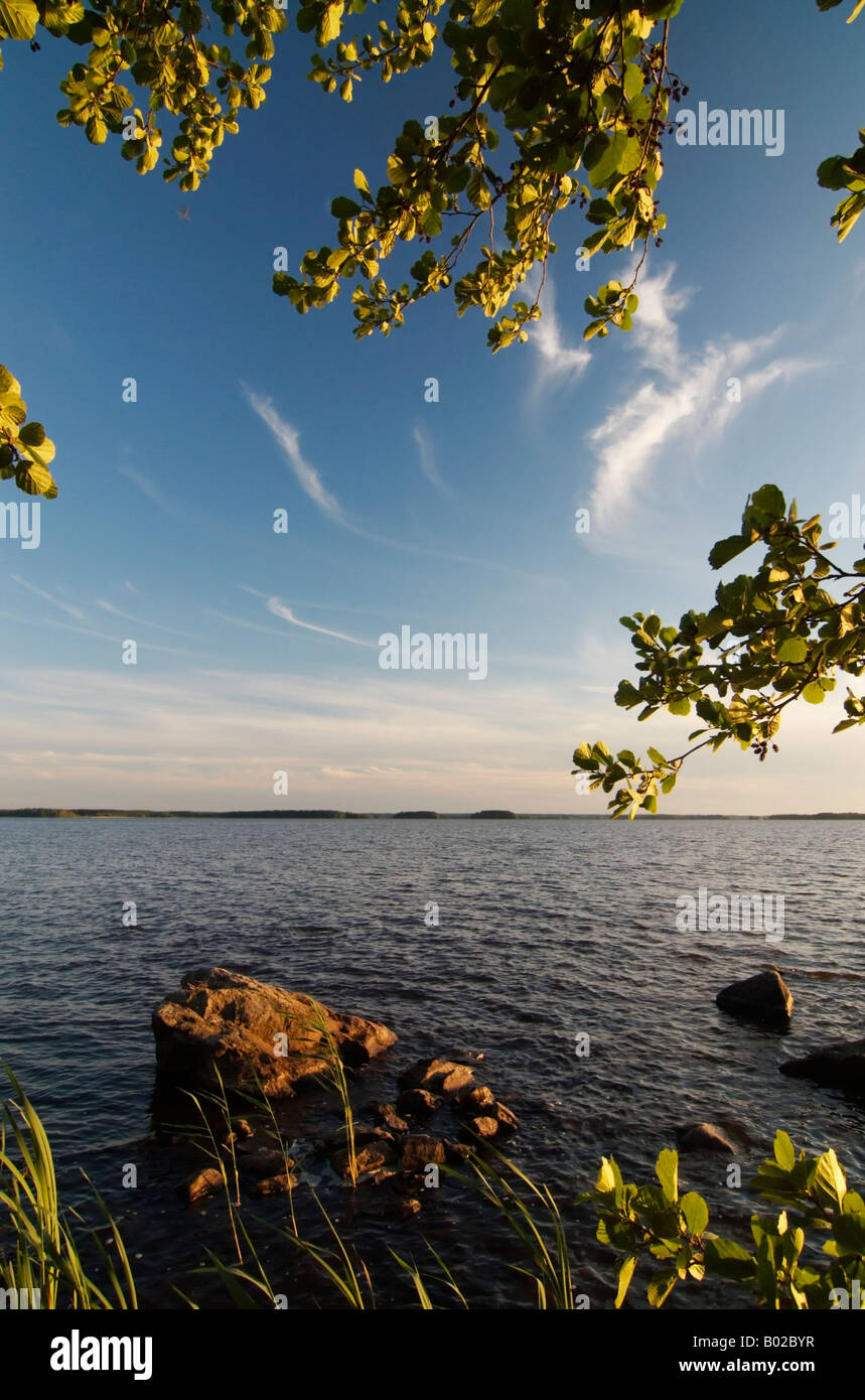 Warm summer evening by lakeside, with blue sky, mares' tail (cirrus ...