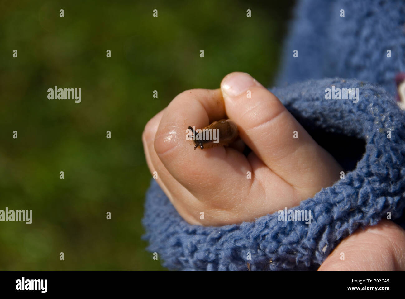 Stock photo of a toddlers hand holding a slimy slug Stock Photo - Alamy