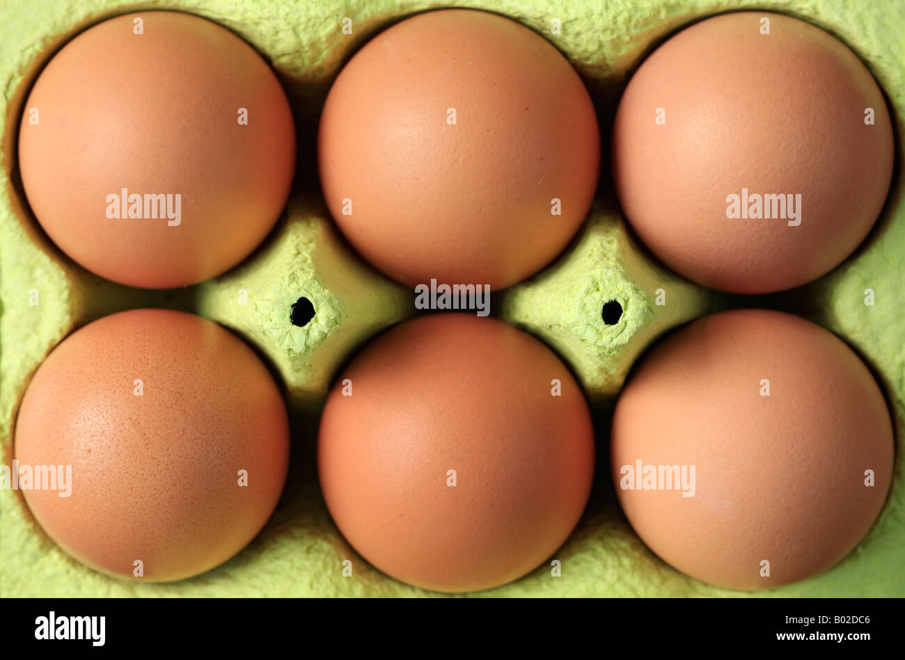 eggs box - six brown bio eggs in package Stock Photo - Alamy