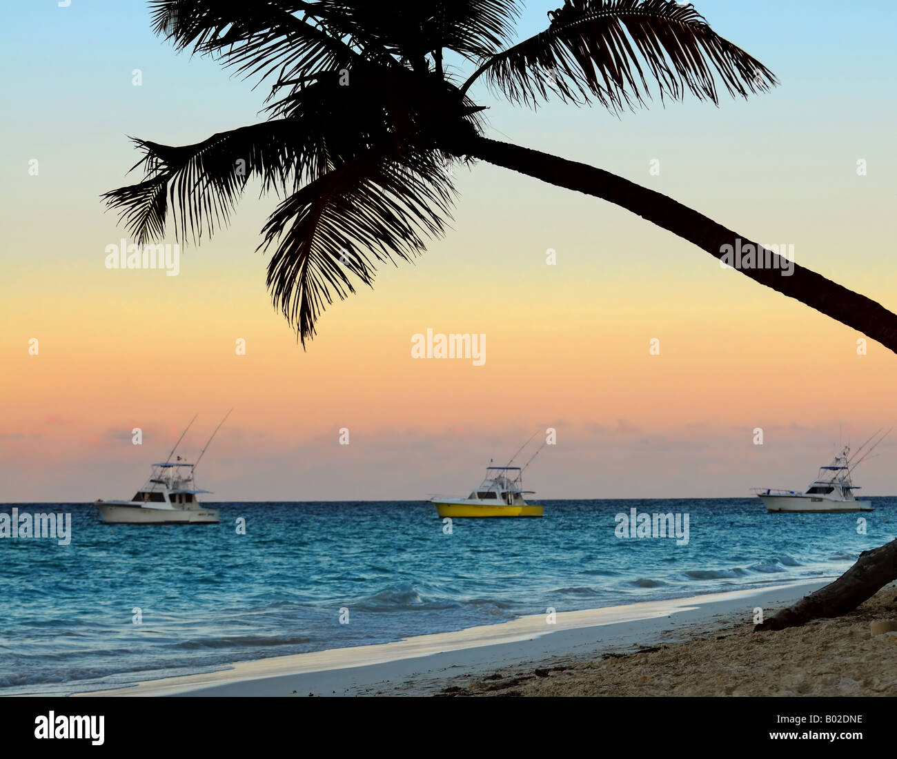Palm tree on sandy beach and boat on the sea hi-res stock photography ...