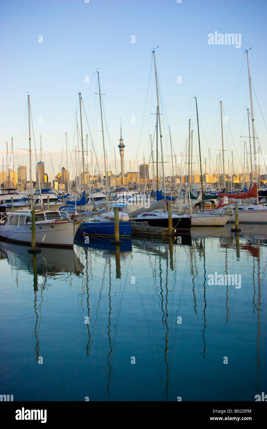 Westhaven Marina Auckland New Zealand Stock Photo - Alamy