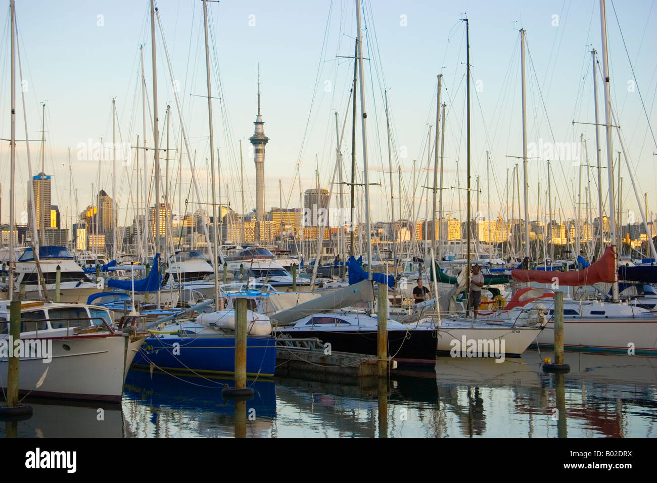 Westhaven Marina Auckland New Zealand Stock Photo - Alamy