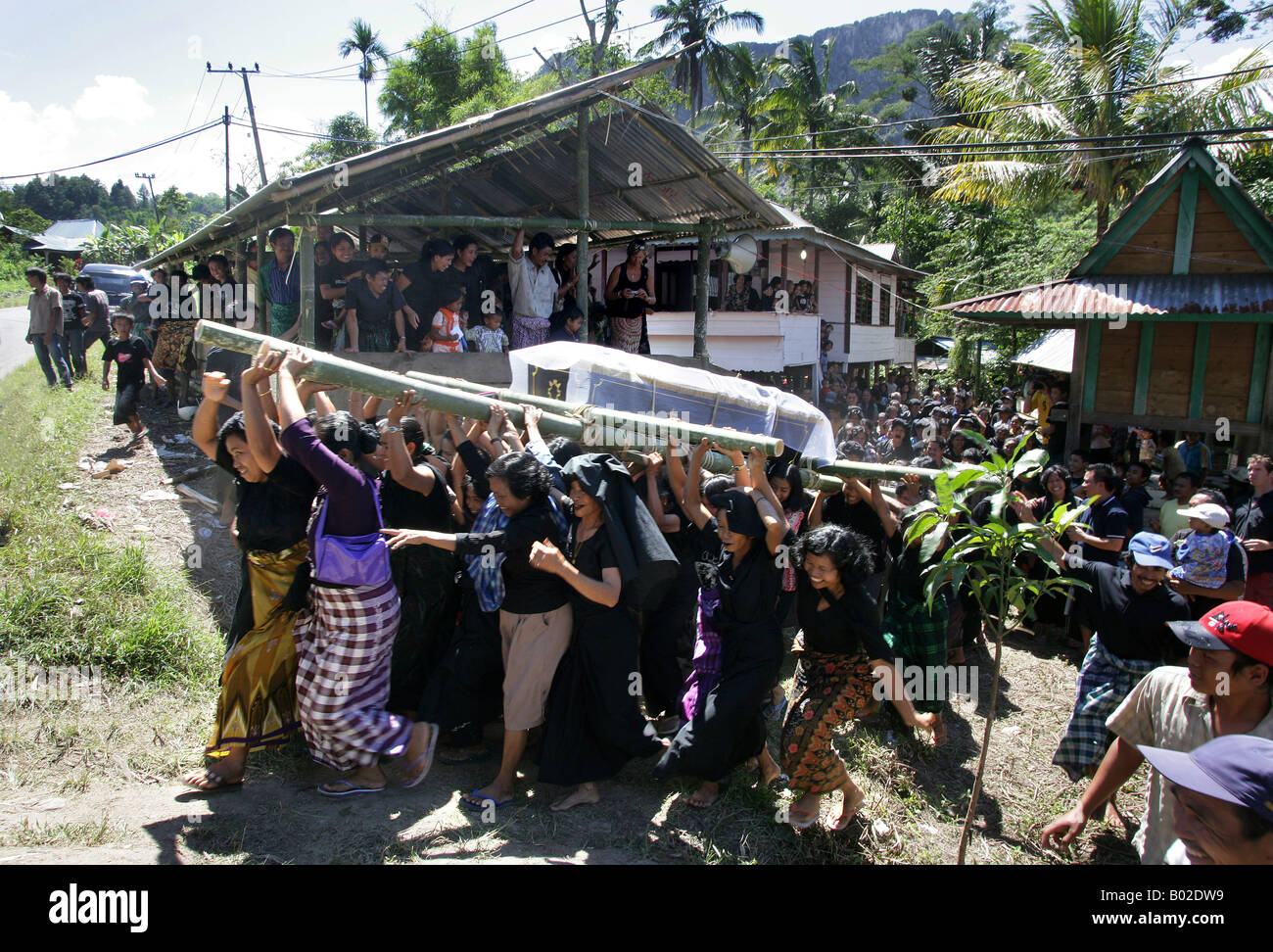 Indonesia Sulawesi Tana Toraja: traditional funeral, the body is ...