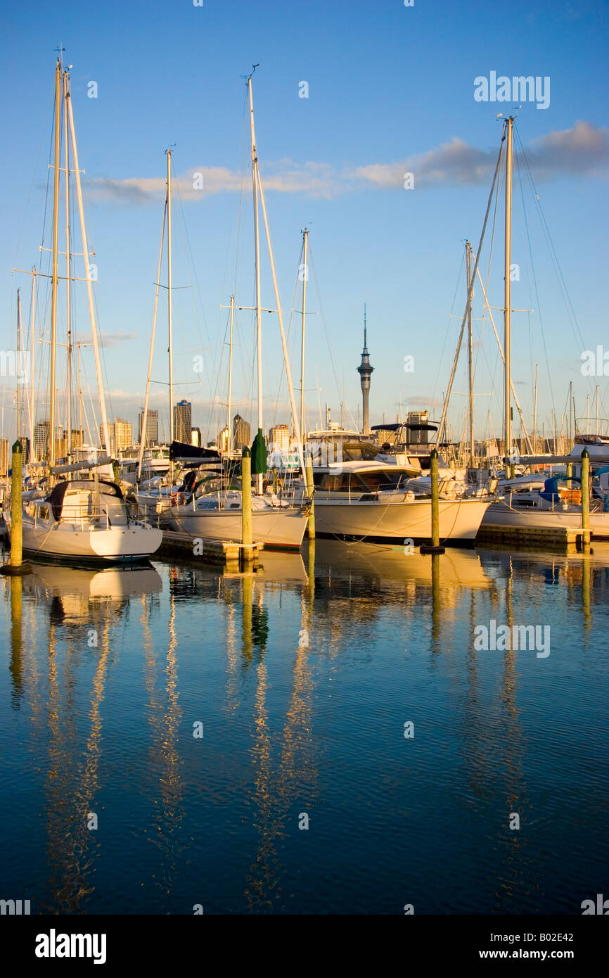 View westhaven marina sky tower hi-res stock photography and images - Alamy