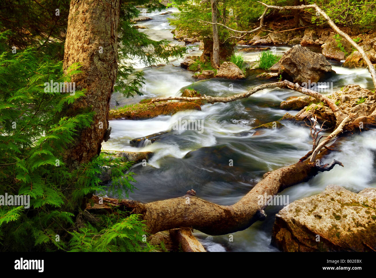 Rocky river rapids in wilderness in Ontario Canada Stock Photo - Alamy