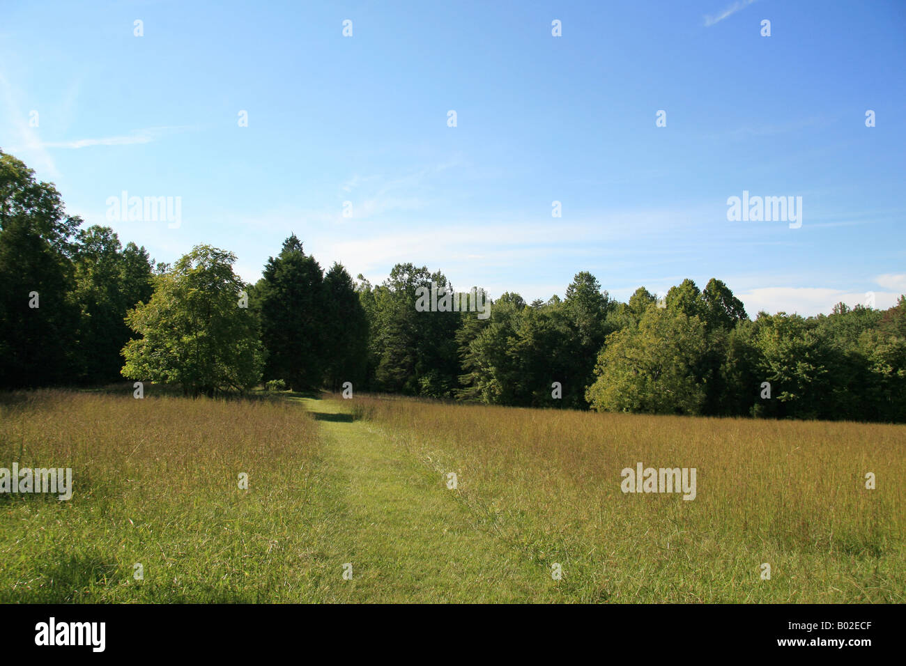 Virginia field hi-res stock photography and images - Alamy