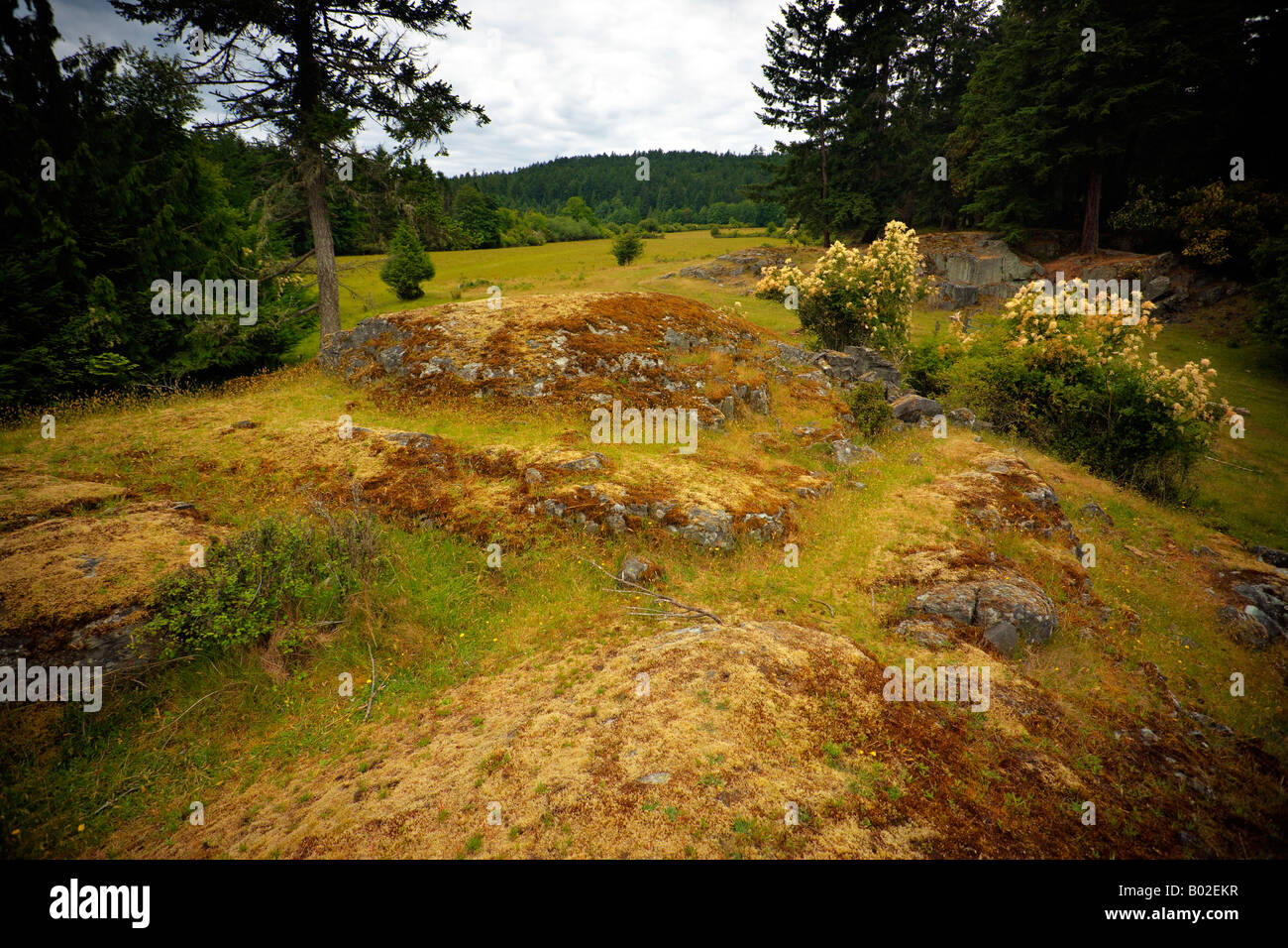 Heliwell provincial park on Hornby Island Stock Photo - Alamy
