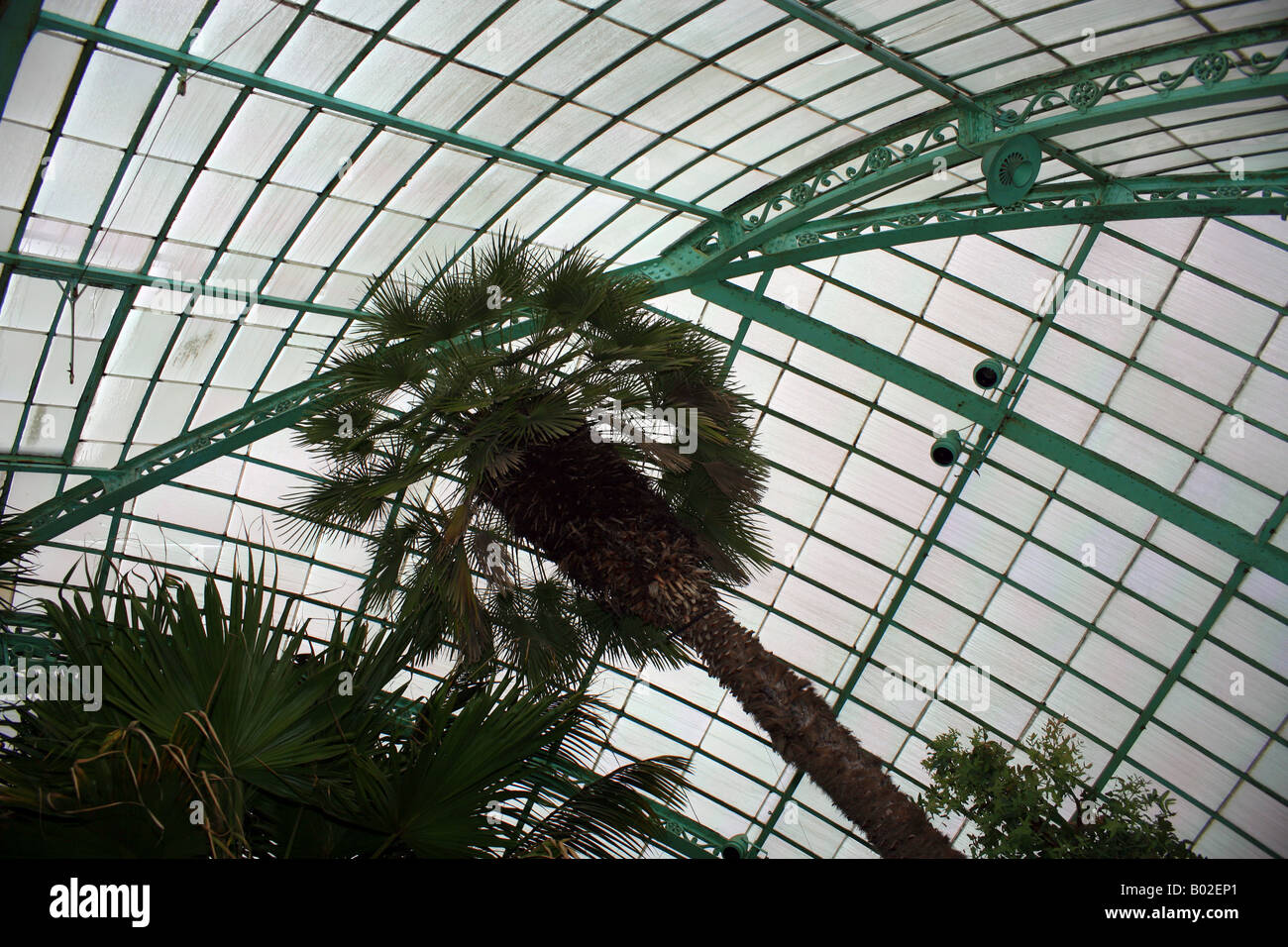 interior of Wintergarden, The Royal Glasshouses, Laeken, Brussels ...