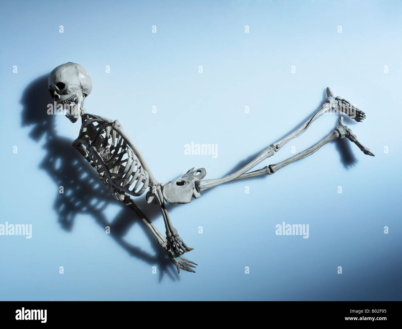 Top view of skeleton stretching Stock Photo - Alamy