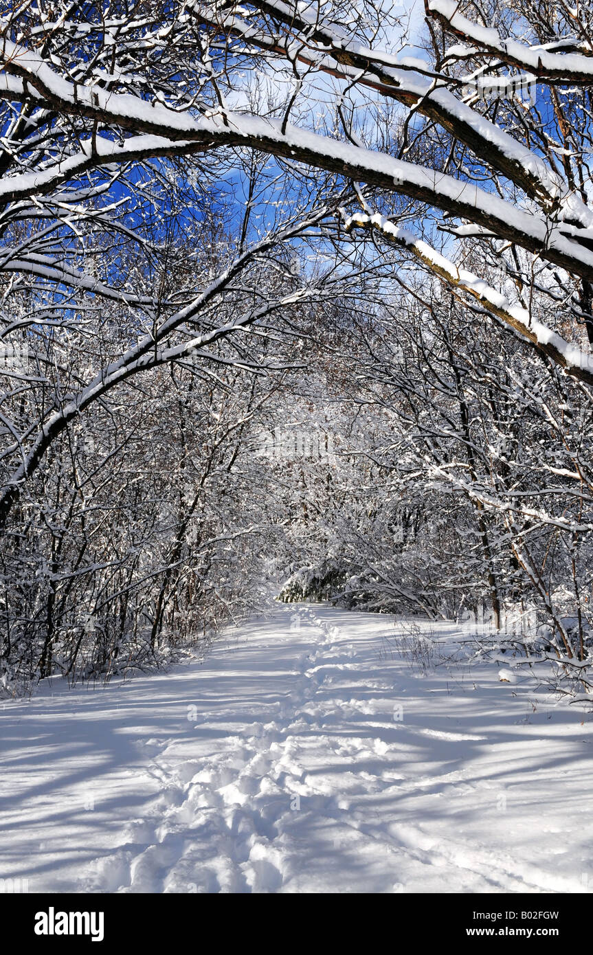 Recreational walking path hi-res stock photography and images - Alamy