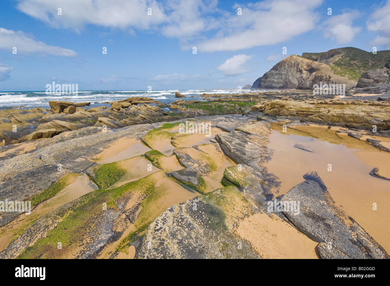 Algae covered rocks hi-res stock photography and images - Alamy